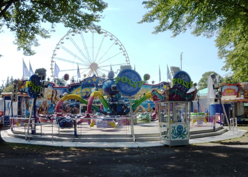 Polyp (Stummer) – Ride-Index.de